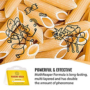 Kitchen Pantry Moth Traps - Prime Pantry Moth Traps with pheromones, Pet Safe Pantry Moth Trap, Food Moth Traps with pheromones 6 Pack
