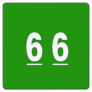 Smead DCC Color-Coded Numeric Label, 6, Label Roll, Green, 250 Labels per Roll (67426)