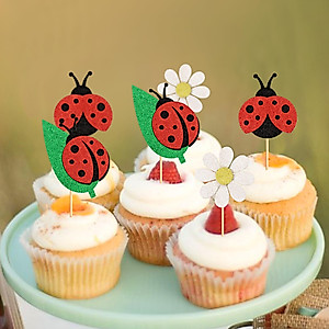 Cyodoos 24Pcs Ladybug Cupcake Toppers Flowers Insects Cupcake Picks Garden Theme Baby Shower Kids Birthday Party Cake Decorations Supplies