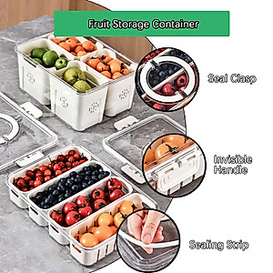 Airtight Fruit Storage Containers for Fridge with Lids, Food Storage Containers with Handle & 4 Removable Colanders, Refrigerator Organizers and Storage for Fresh Fruits, Vegetable Fresh Keeper
