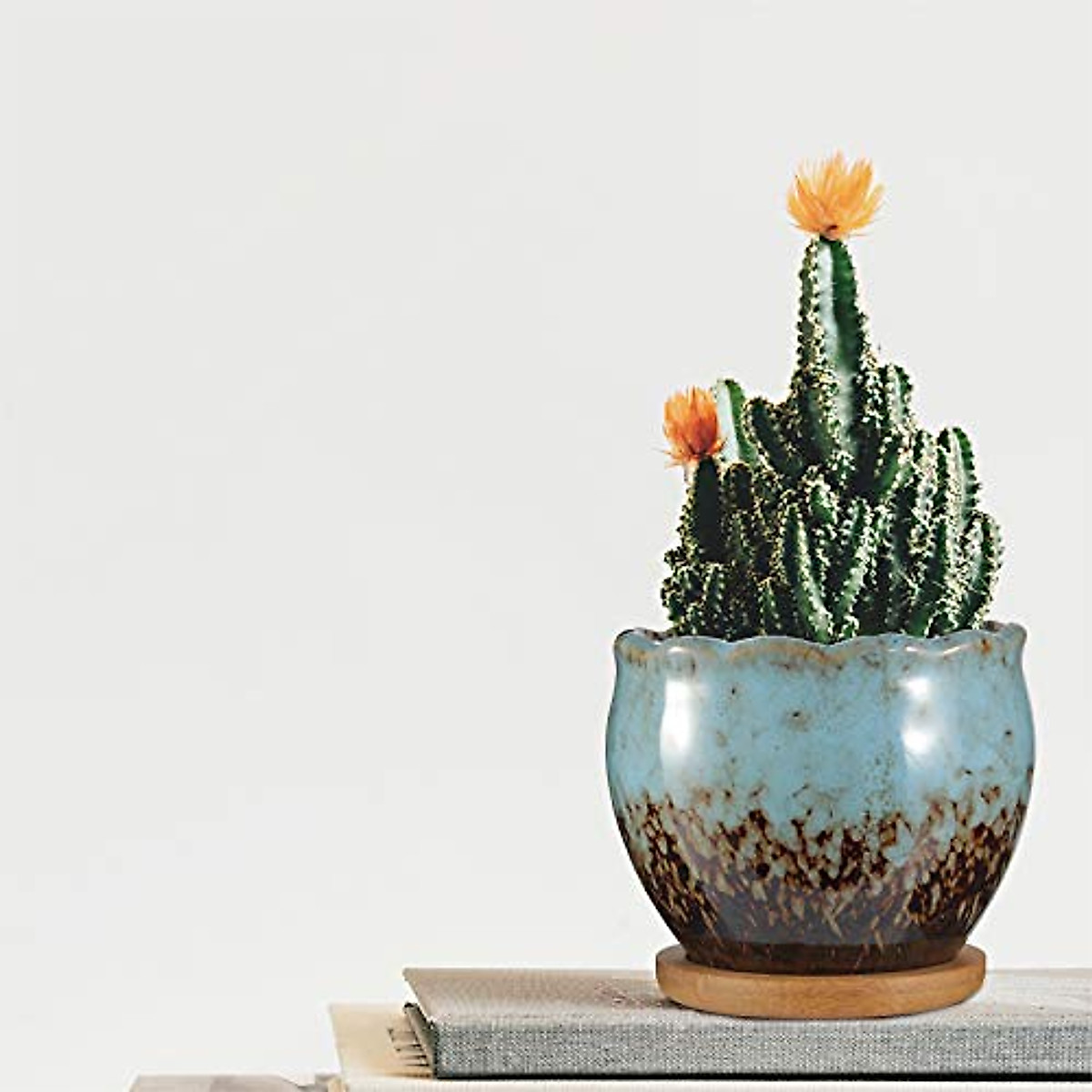 ZOUTOG Succulent Pots, 4 inch Colorful Ceramic Flower Pots, Succulent Planter with Drainage Hole and Bamboo Plant Saucers