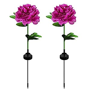 Aolyty Solar Flower Garden Lights, Single Head Solar Peony Light, Outdoor Decoration Solar Stake Lights, 2 Pack IP65 Waterproof LED Landscape Light for Pathway Walkway Patio Lawn Garden (Purple)