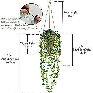 Nisoger Fake Hanging Plant with Woven Basket, 2 Pack Artificial Hanging Plants, Faux Vines Eucalyptus Leaf Hanging Pot Plant for Wall Home Room Indoor Outdoor Bedroom Bathroom Office Decor