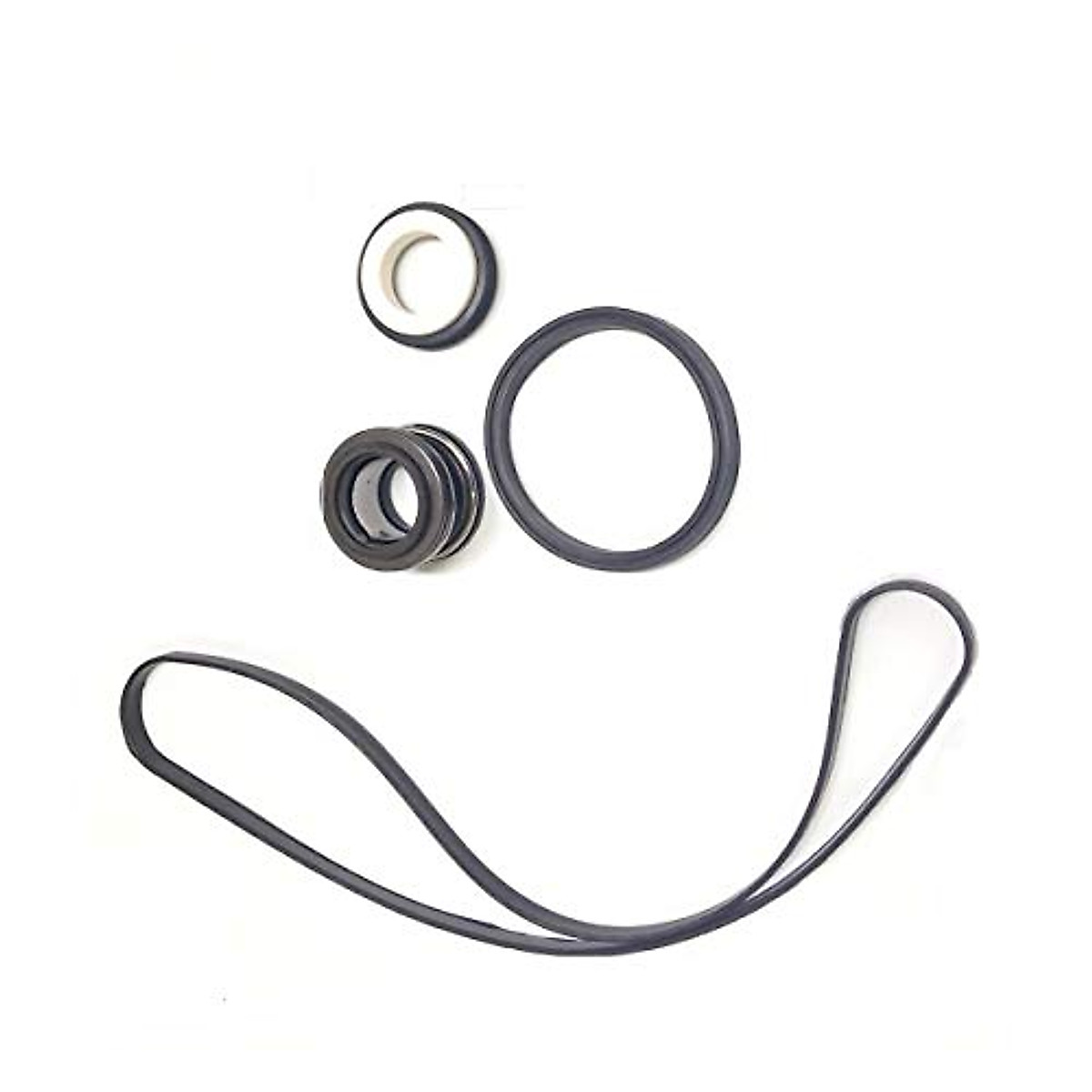 Southeastern Accessory Pool Pump Gasket Seal O-Ring Repair Kit for Super Pump MaxFlo SPX1600TRA