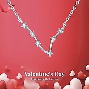 BriLove 925 Sterling Silver Necklace -Pisces Constellation Zodiac 12 Horoscope Astrology Women CZ Pendant Necklace Birthday Gift for Valentines Day/Anniversary/Mothers Day/Christmas