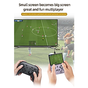 RG35XX Handheld Game Console, 3.5 Inch IPS Screen Linux System Retro Video Games Console, Built-in 64G+128G TF Card 8000+ Classic Games, Support HDMI TV Output