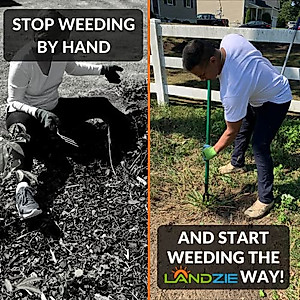 Landzie Weeder - 44 Inch Long Steel Stand Up Manual Weed Remover Tool for Lawn and Garden - Easily Weed Grass Without Bending or Kneeling - 4 Serrated Heavy Duty Claws with Lever for Easy Removal