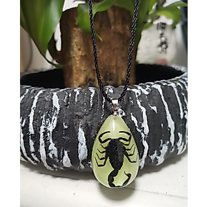 PTGMH Glow in the Dark Necklace Black Scorpion Amber Resin Adjustable Necklace Pendent with Insect Sample Inside Birthday Gift for Lover Friends (Black（black Scorpion）)