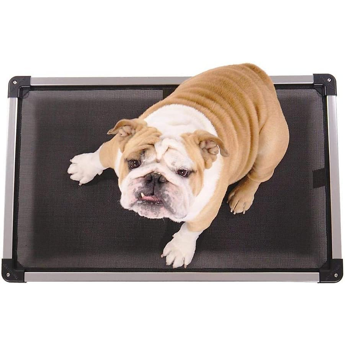 K9 Ballistics Chew Proof Mesh Elevated Dog Bed - Waterproof - Aluminum - Indoor/Outdoor - Ships Assembled - Fit Inside of Small Crates 29"x18"x3.5", Black Mesh