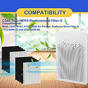 C545 True HEPA Replacement Filter S Compatible with Winix C545, B151, P150, 9300 Air Purifier, Replaces Winix Filter S 1712-0096-00 and 2522-0058-00, 2 HEPA Filter + 8 Carbon Filter