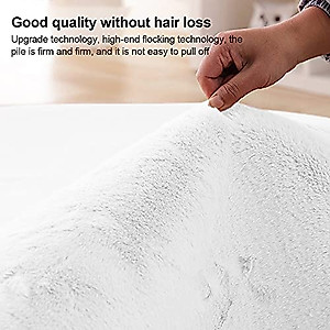 Rainlin Ultra Soft Fluffy Faux Fur Sheepskin Area Rug Modern 2x6 Living Room Fur Runner Rugs Shaggy Beside Rugs Warm Faux Fur Couch Cover for Sofa and Bay Window, White