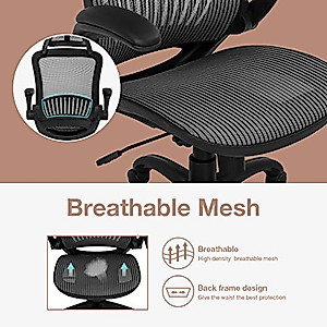 Office Chair Ergonomic Desk Chair Mesh Computer Chair with Lumbar Support Headrest Flip UP Arms Rolling Swivel Adjustable Task Chair for Adults(Grey)