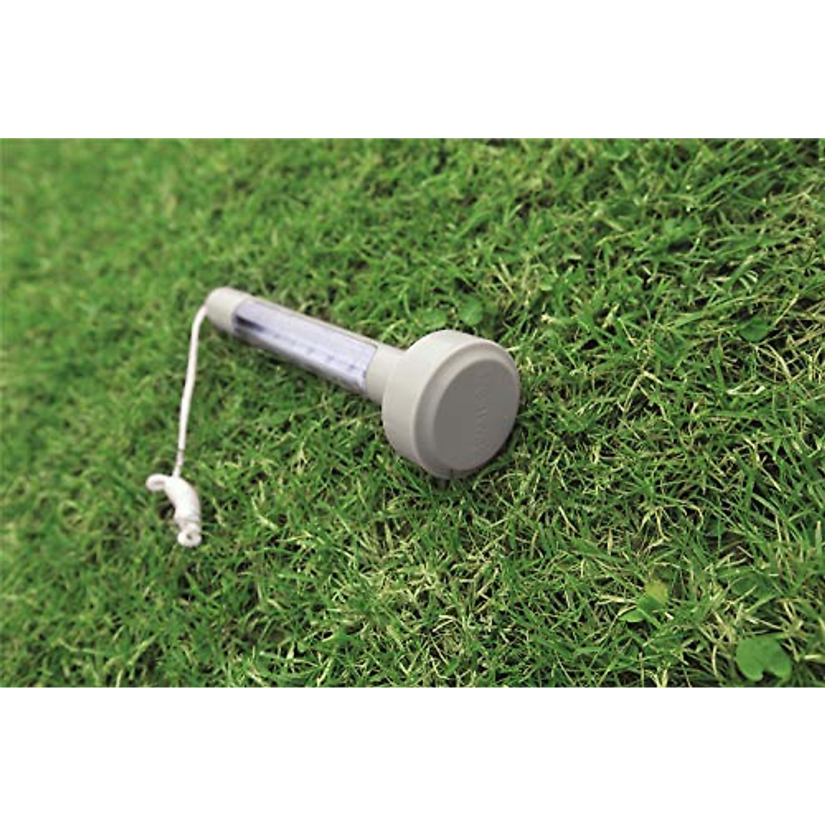 Bestway Floating Swimming Thermometer for Pools and Spas