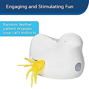 PetSafe Peek-A-Bird - Electronic Toy and Interactive Bird Hunt - Automatic Feather Toy for Bored and Anxious Cats - Kitten Teaser Toy - Automated Toy for Cat Enrichment and Exercise Small
