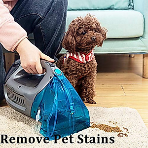 Hausmeister Spot Cleaner Pet Stain Eraser Carpet Cleaner P005C