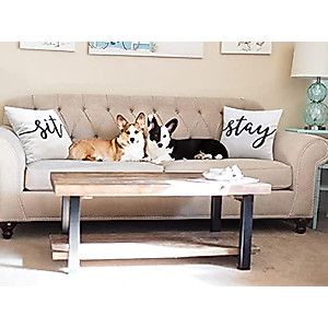 Pyonic Set of 2,Outdoor Waterproof Throw Pillow Covers,Square Pillow Covers Decorative Cushion Cover for Patio Garden Living Room Couch (White, 18X18)