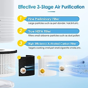RP-AP068 Replacement Filter For RENPHO RP-AP068 Air Purifiers, 3-in-1 H13 Grade Ture Hepa Filters Compatible with RENPHO RP-AP068, 2 Pack