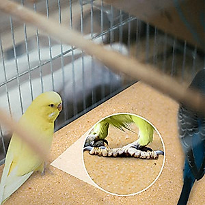 FIZMU Bird Cage Liner for Bird Cage in Sea Sand,Gravel Paper for Bird Cage 11 x 17 inch, Bird Cage Paper Liners Cage Liner,Birdcage Paper for Hard Beak Cleaning, Safe and Easy to Digest