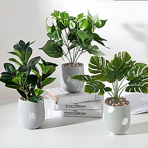 Simetufy 2.2lb Lava Rock Pebbles, 1/5 Inch Decorative Pea Gravel for Plants, Terrarium Rocks for Pots Indoor, Cactus, Top-Dressing Volcanic Rocks, Drainage Rocks for Potted Plants