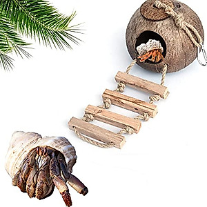 Hermit Crab Coconut Husk Hut with Ladder, Durable Cave Habitat with Hanging Loop for Gecko, Reptiles, Amphibians and Small Animals, 5” Diameter, 2.5” Opening