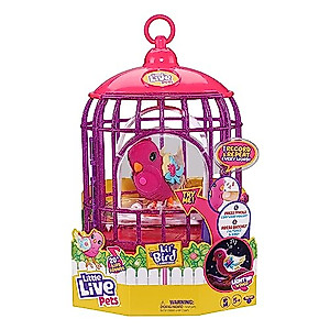 Little Live Pets - Lil' Bird & Bird Cage, New Light Up Wings with 20 + Sounds, and Reacts to Touch