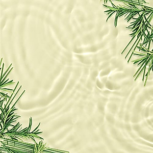 Love Beauty and Planet Radical Refresher 100% Biodegradable Shampoo Detoxifying & Purifying Tea Tree Oil & Eucalyptus Vegan Shampoo 0% Sulfates, Silicones, Parabens, and Dyes 13.5 oz