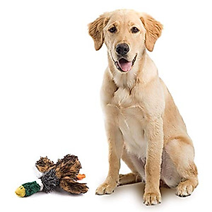 wangstar Pet Mallard Duck Dog Toy, Squeaky Dog Toy, Plush Puppy Dog Chew Toy for Small Medium Dogs, 9 Inch Wild Duck