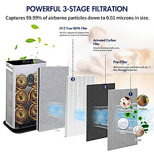 2 Pack HE601 H13 True HEPA Replacement Filter Compatible with Shark Air Purifier 6-Fan HE601 HE602,H13 True HEPA Filter, Compare to Part # HE6FKPET, HE6FKBAS, HE6FKPRO