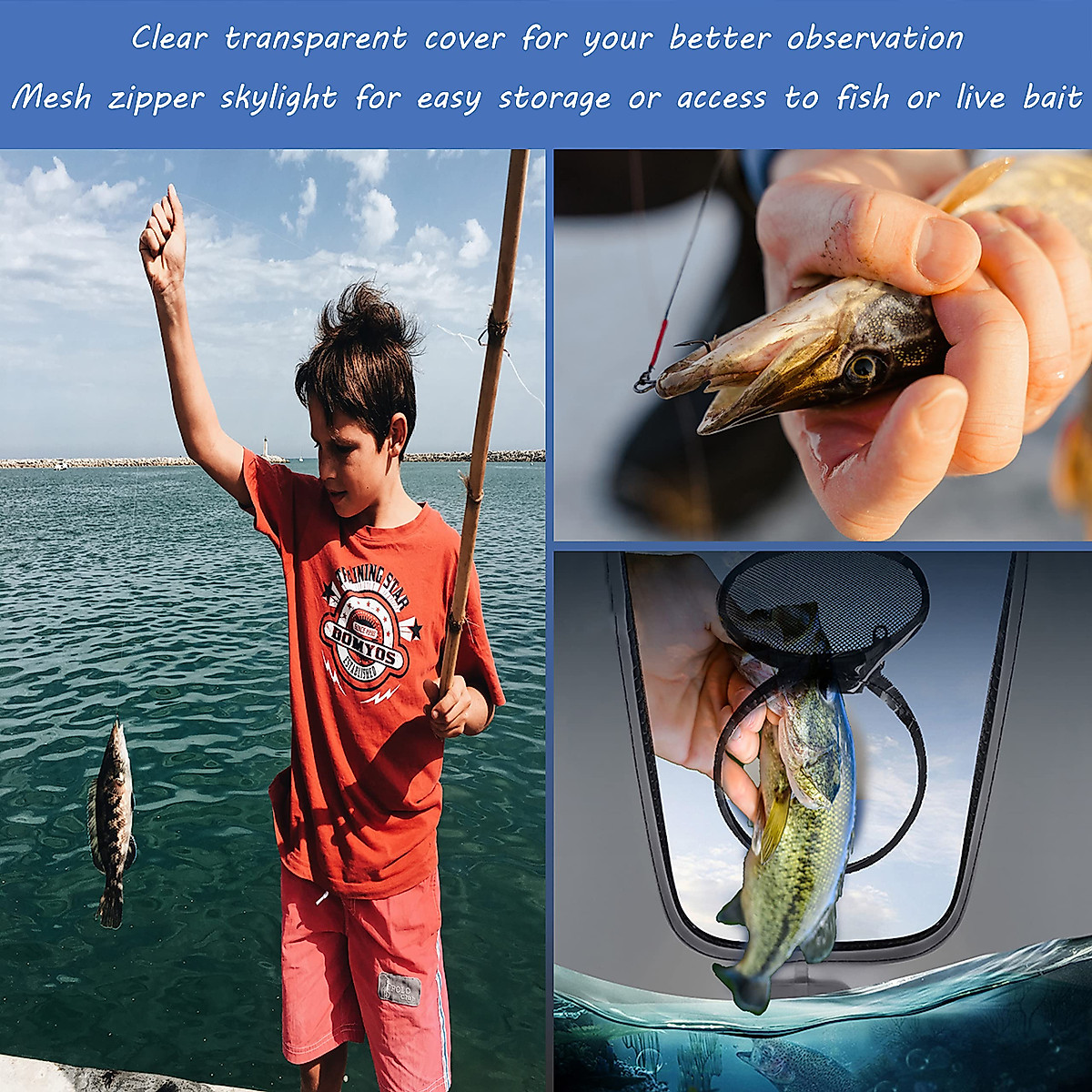 WHCDSTGJ Transparent Top Cover Fishing Bucket, Foldable Fish Bait Bucket, Multifunctional Minnow Bucket, Live Fish Container, Fish Protection Bucket, Outdoor Camping Fishing Bag.