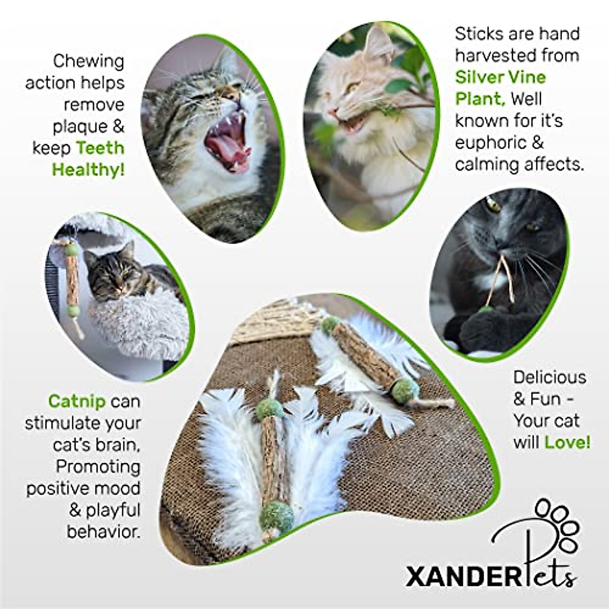 XanderPets Cat Chew Stick - Matatabi Stick for Cat - Silvervine Chew Sticks for Cats - Cat Dental Sticks w/Cat Nips Organic - All Breeds 3PK