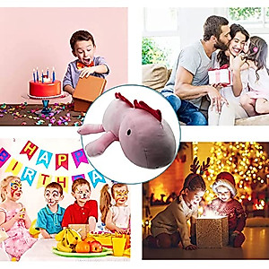 FRINNG Weighted Dinosaur Plush, 24" Stuffed Weighted Plush Toy Animal Dino Throws Pillow,Weighted Dinosaur Plushies Toys for Fans Kids Birthday Gift (Pink)