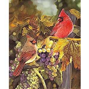 Harvest Time Cardinals with Grapes Cotton Fabric Panel David Textiles