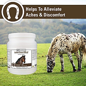 Vet Classics ArthriEase-Gold Joint Support for Horses - Powder Health Supplement for Horses – Alleviates Aches and Discomfort – For Flexibility, Healthy Joint Function – Antioxidants 2 lb. 4 Oz.Powder