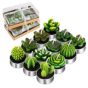Outee 12 Pcs Cactus Tealight Candles Handmade Delicate Succulent Candle Cactus Candles Smokeless Aromatherapy Mini Candles Tea Lights 12 Styles for Home Décor Birthday Gift Party Wedding SPA