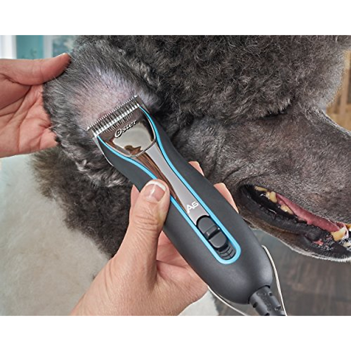 Oster A6 Cool Comfort Heavy Duty Pet Grooming Clippers with Detachable CryogenX #10 Blade, 3 Speed, Aqua Sky (078006-000-000),Black,1.75 x 1.88 x 6.90 inches