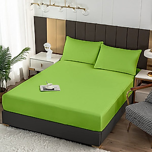 Crown Collection Premium Quality 600-Thread-Count 100% Egyptian Cotton 1 Piece Fitted Sheet with 12" Deep Pocket Full Size Damask Solid (Sage)