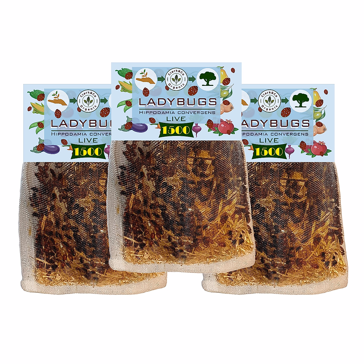 Clark&Co Organic 3x1500 Live Ladybugs Live Ladybugs - Good Bugs - Guaranteed Live Delivery!…