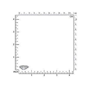 Silvershake June Birthstone Natural Moonstone 925 Sterling Silver Solitaire Ring Size 11