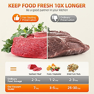 Vacuum Sealer Machine - Food Vacuum Sealer for Food Saver Automatic Air Sealing System for Food Storage Dry and Moist Food Modes Compact Design 12.6 Inch with 15Pcs Seal Bags Starter Kit