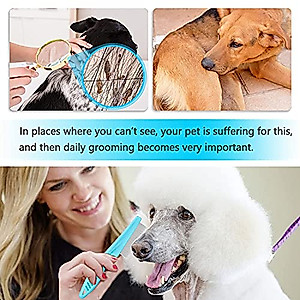 AESALUTOY Cat Brush for Shedding Indoor Cats - Cat Hair Brush for Deshedding Long Haired Cats, Self Cleaning Cat Grooming Brush, Slicker Brush for Cats, Kitten and Short Haired Dogs, Cat Fur Comb Brush with Two Cat Hair Combs(Green)