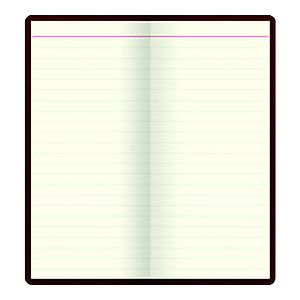 Letts Note Origins Collection Slim Pocket Size Notebook with Gold Pen, Ruled, 240 Pages, Cream Paper, 5.75" x 2.75", Chocolate (B090013)