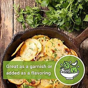 Sow Right Seeds - Flat Leaf Parsley Seed for Planting - Non-GMO Heirloom - Instructions to Plant and Grow a Kitchen Herb Garden, Indoor or Outdoor; Great Gardening Gift (1)