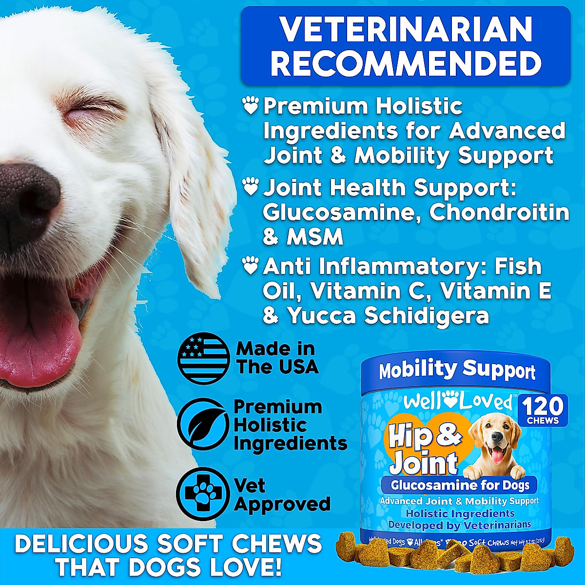 Well Loved Glucosamine for Dogs - Joint Supplement for Dogs, Made in USA, Vet Developed, Dog Joint Supplement, Glucosamine Chondroitin for Dogs, Advanced Hip and Joint Chews with MSM, Pain Relief, 120