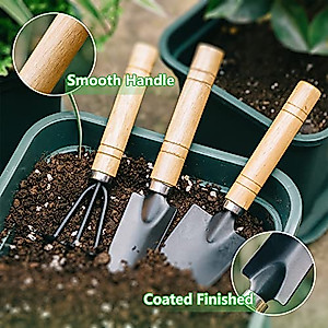 Small Garden Tools, 6 Pcs Mini Garden Tools Set, Cute Gardening Tools, Home Indoor Tiny Kids Gardening Tools Succulent Tool Kit, Plant Potted Flower Garden Tool Wood Handle for Plant Care Transplant