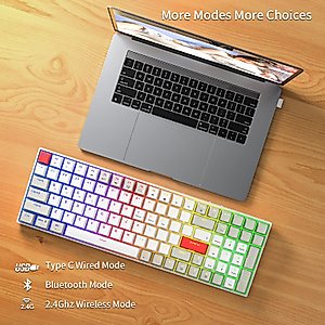 Newmen GM1000 Wireless Mechanical Gaming Keyboard,Bluetooth 5.0/2.4GHz/USB-C Hot Swappable Custom Keyboard,RGB Backlit Mechanical Keyboard for with Number Pad for Mac/Win（Gateron Blue Switches）