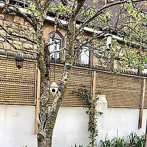 USKICH Bird Spikes 30 Packs Outdoor Cat and Bird Deterrent Spikes, Defender Spikes - Keep Pigeon, Cat & More Birds Away from Fences and Roof, Anti Theft Climb Strips (2023 Upgraded | 42.3 feet)