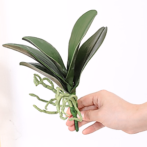 Qianmo Artificial Orchid Leaf Plants PU Latex Real Touch Faux Leaves Arrangement Home Décor Office Garden Bonsai Decoration Flowers (Big Size (3 Bunches))