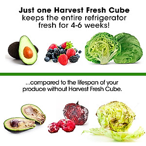 Harvest Fresh Cube Produce Saver | Extend produce shelf life up to 4 to 6 weeks | Simply unwrap and forget! | Pack of 2 | 180 Day Supply