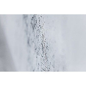 Montana Cans Montana BLACK 150ml Spider Effect Color, Spray Paint, 5.07 Fl Oz (Pack of 1)