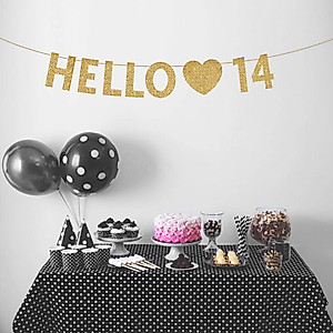 Gold Hello 14 Birthday Banner, Gold Glitter Happy 14th Birthday Party Decorations, Supplies